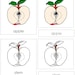 Parts of an Apple Nomenclature 3-part Cards - Montessori Botany ...