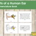 Parts of an Ear Nomenclature Book Science Printable - Etsy Canada