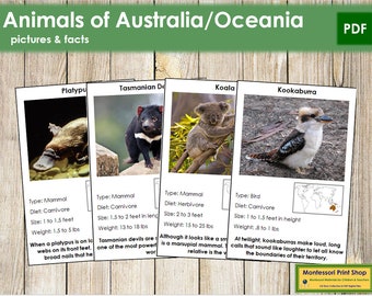 Animals of Asia Facts & Picture Cards color-coded | Etsy