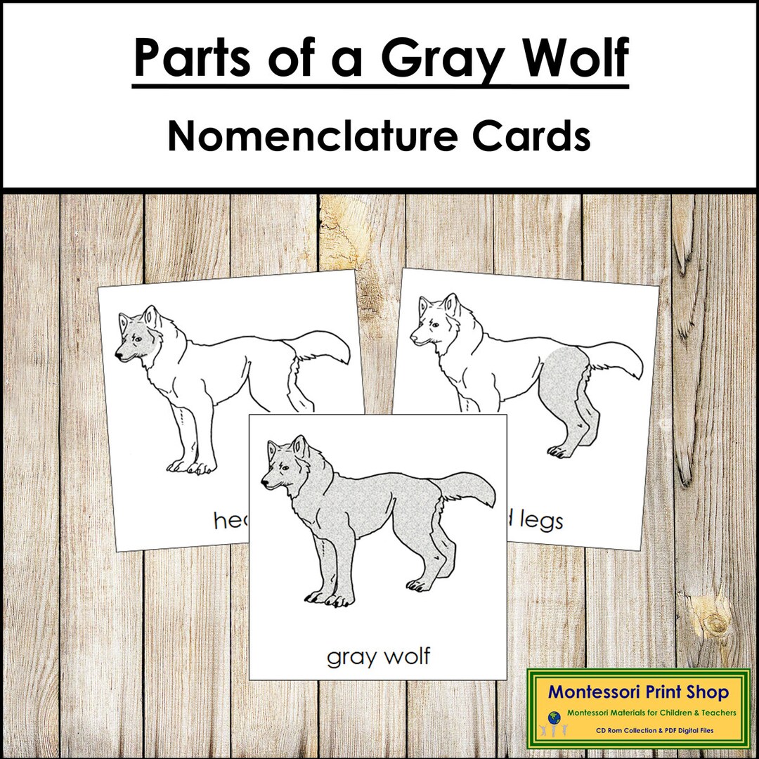 Parts of a Gray Wolf Nomenclature 3-part Cards - Montessori Zoology ...