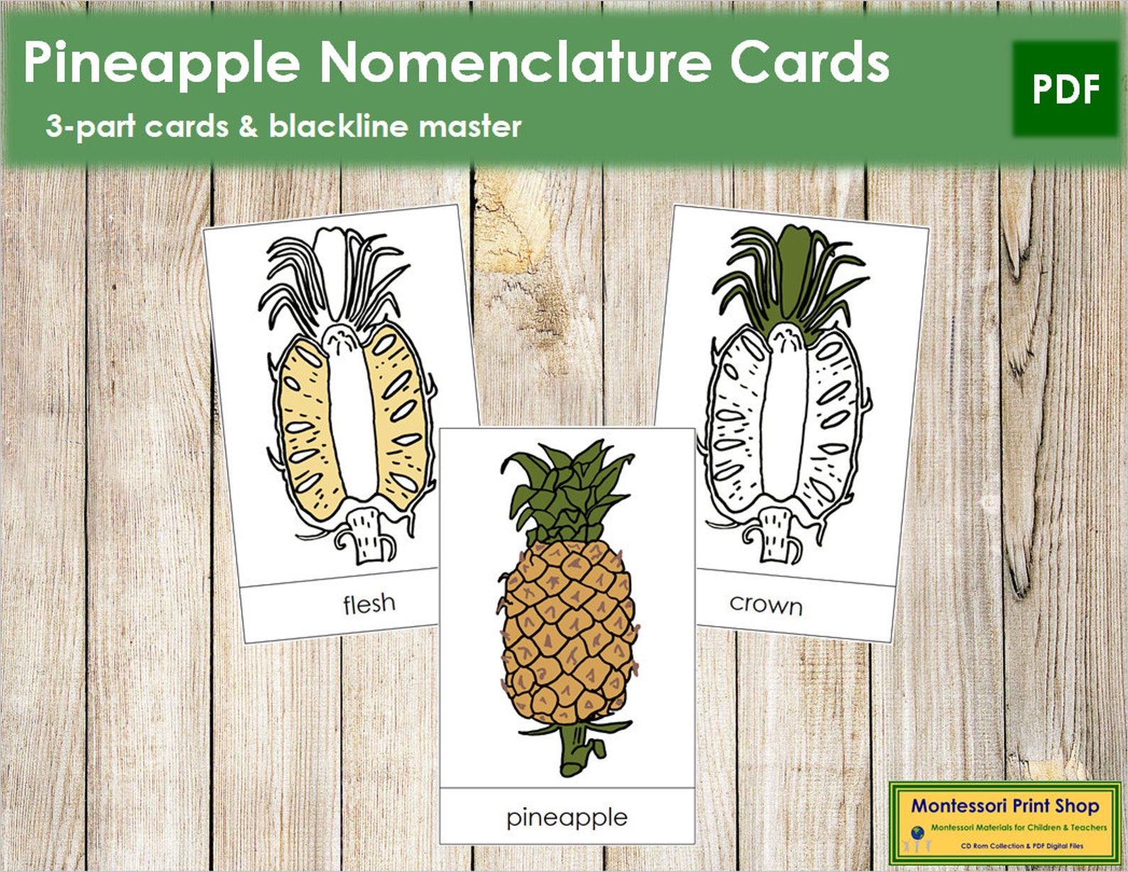 Parts of a Pineapple Nomenclature 3-part Cards Montessori | Etsy