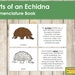 Parts of an Echidna Nomenclature Book Montessori Zoology - Etsy Canada