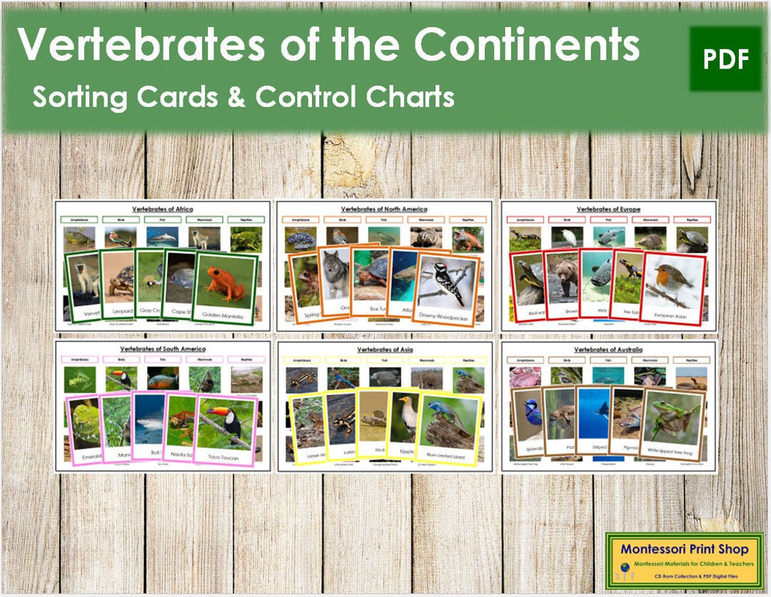 Vertebrates of the Continents Sorting color-coded - Etsy