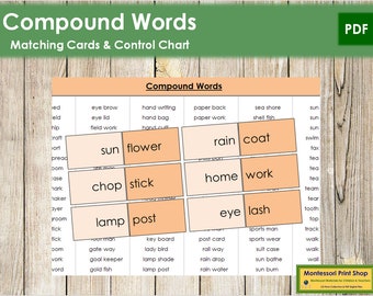 Contractions color-coded Montessori Grammar Printable | Etsy