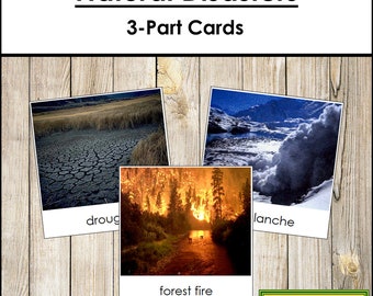 Parts of a Rabbit Booklet Nomenclature Cards Montessori - Etsy