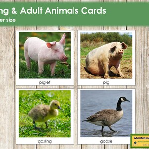 Young & Adult Animal Matching Cards Printable Toddler - Etsy