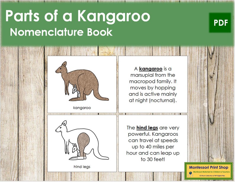 Parts of a Kangaroo Nomenclature Book Montessori Zoology - Etsy