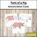 Parts of a Pig Nomenclature 3-part Cards Montessori Zoology Printable ...