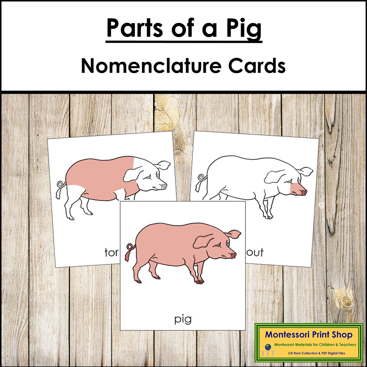 Parts of a Pig Nomenclature 3-part Cards Montessori Zoology Printable ...