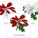Parts of a Poinsettia Nomenclature 3-part Cards & Blackline Master ...