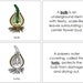 Parts of a Bulb Nomenclature Book - Montessori Botany - Printable ...