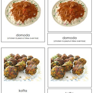 Africa Deluxe Continent Bundle Geography Printable | Etsy