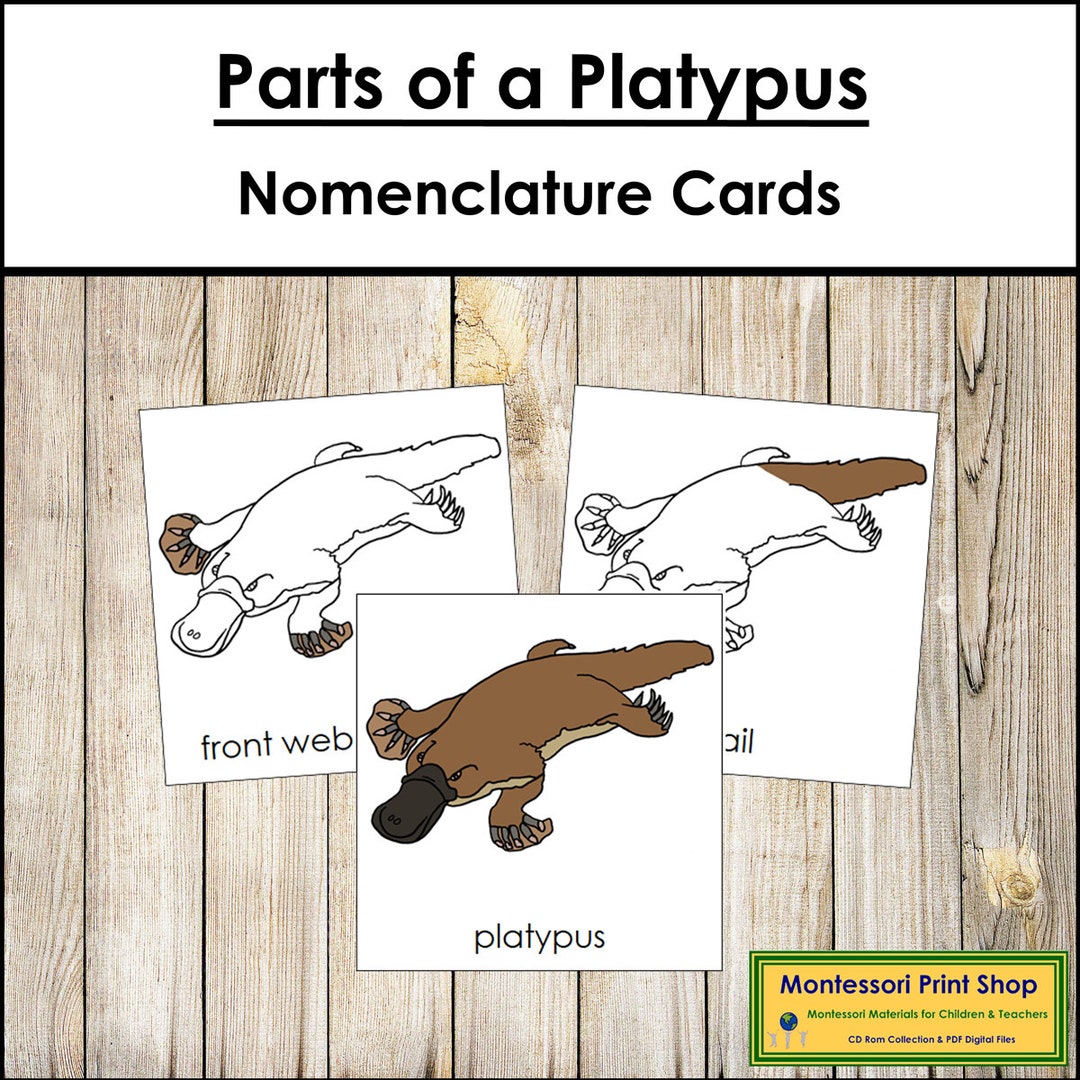 Parts of a Platypus Nomenclature 3-part Cards - Montessori Zoology ...
