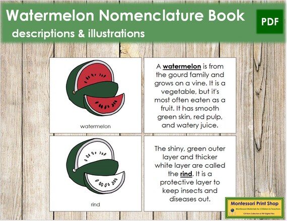 Parts of a Watermelon Nomenclature Book Botany Printable - Etsy New Zealand
