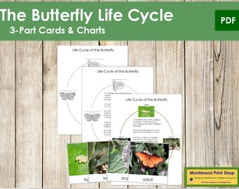 Monarch Butterfly Life Cycle Montessori Science Printable - Etsy