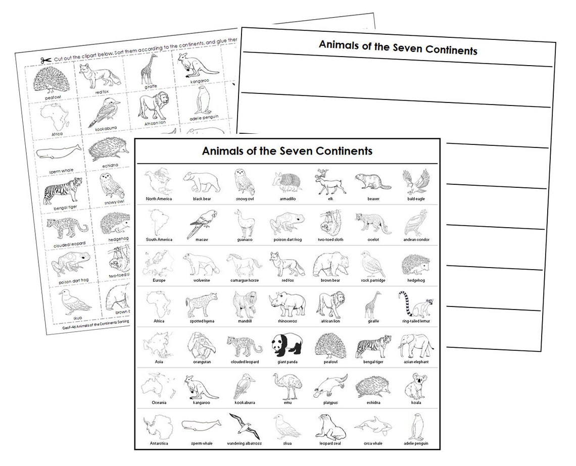 Animals of the Continents Sorting Blackline Masters Zoology - Etsy