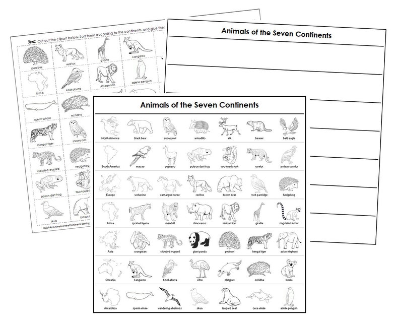 Animals of the Continents Sorting Blackline Masters Zoology - Etsy