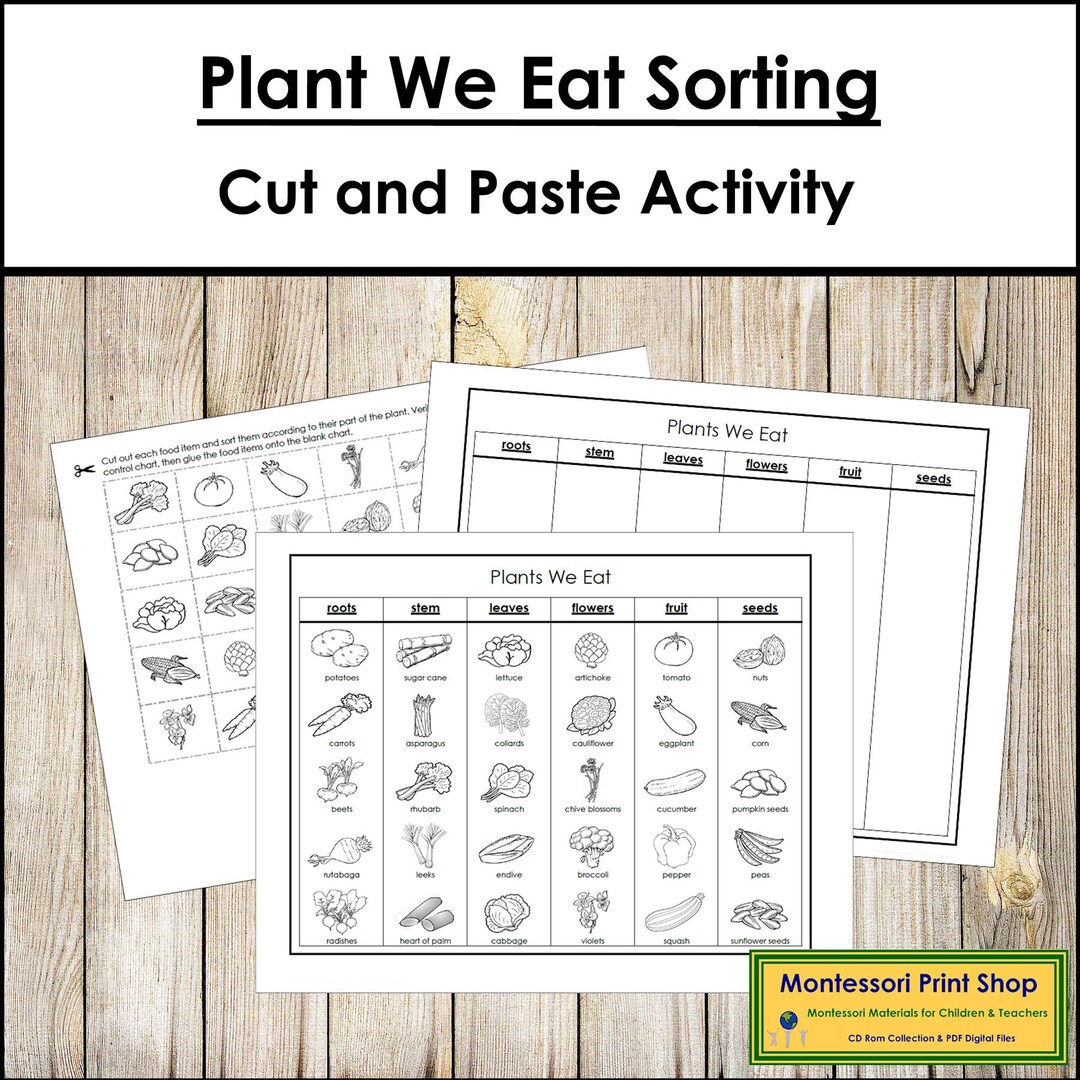 Montessori Plants We Eat Sorting Cut & Paste [blackline Masters ...