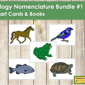 Zoology Nomenclature 3-part Cards & Books Nomenclature Bundle - Etsy