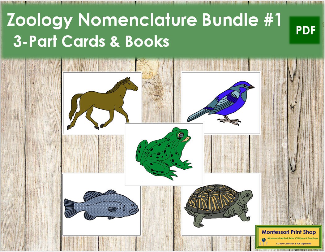 Zoology Nomenclature 3-part Cards & Books Nomenclature Bundle - Etsy