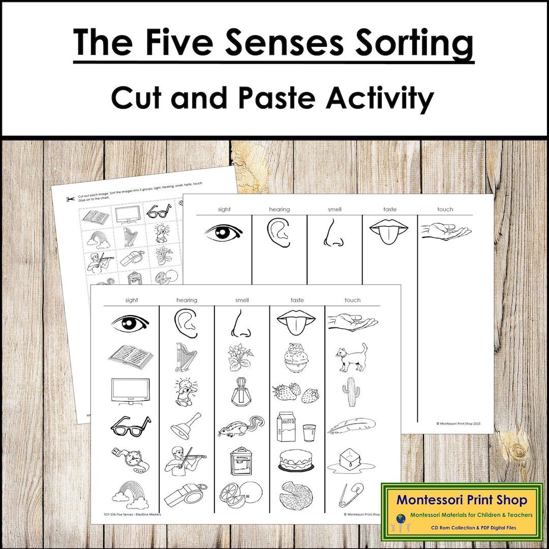 The Five Senses Sorting Cut & Paste [blackline Masters] - Montessori ...