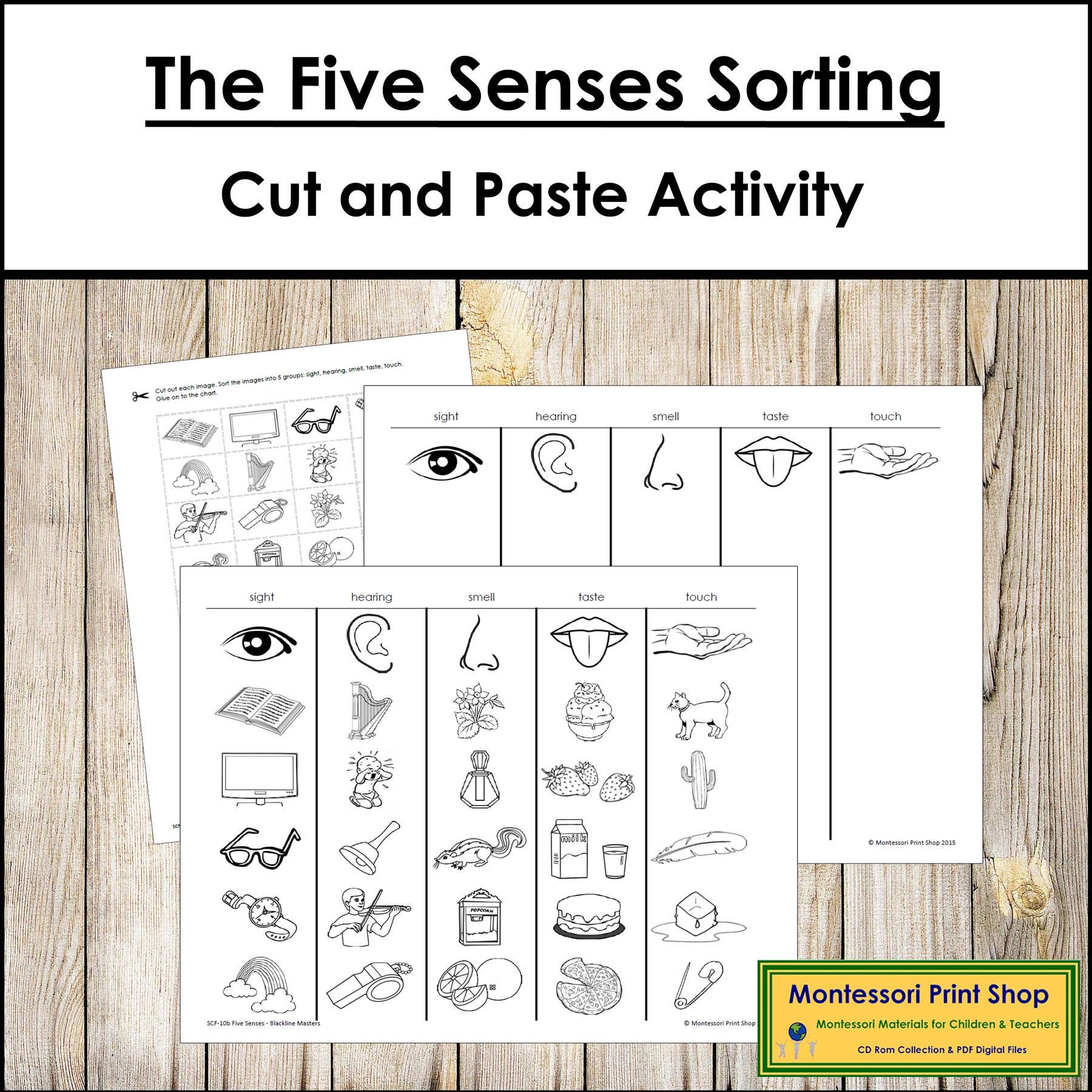 The Five Senses Sorting Cut & Paste [blackline Masters] - Montessori ...