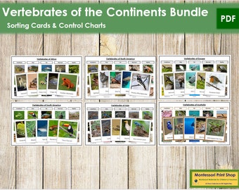 Vertebrates of the Continents Sorting Montessori Zoology | Etsy
