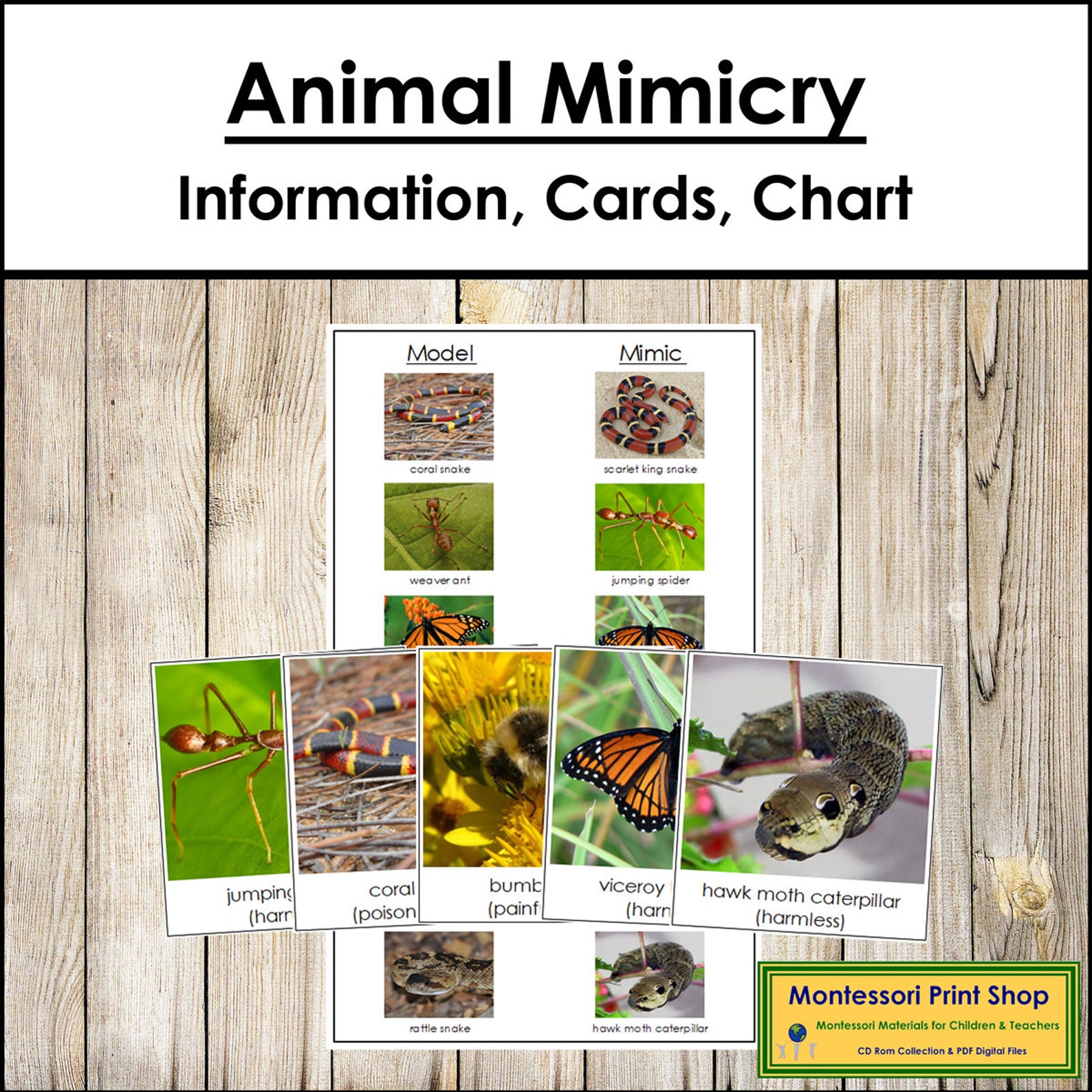 Animal Mimicry Science Printable Montessori Cards Digital Download - Etsy