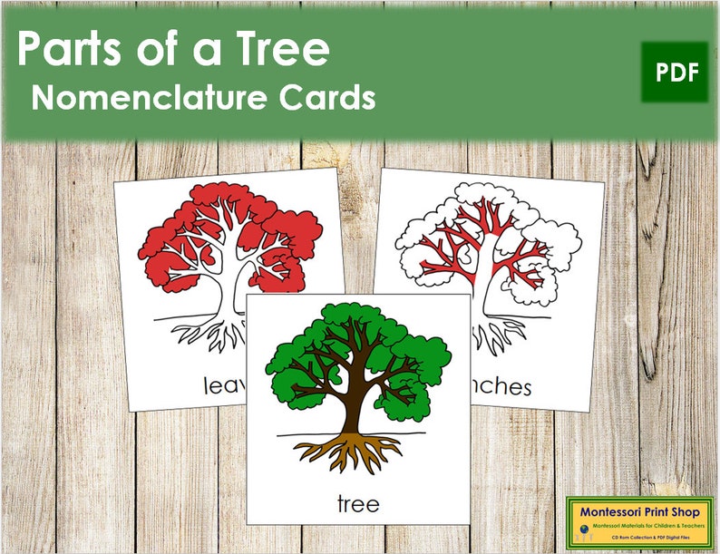 Parts of a Tree Nomenclature 3-part Cards RED Montessori - Etsy