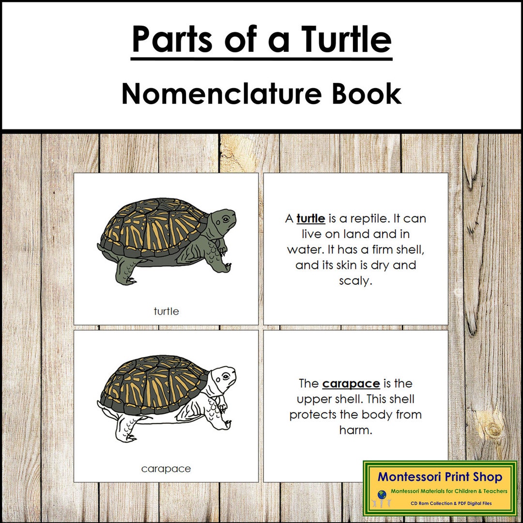 Parts of a Turtle Nomenclature Book - Montessori Zoology - Printable ...