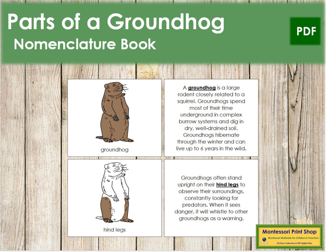 Parts of a Groundhog Nomenclature Book Montessori Zoology - Etsy