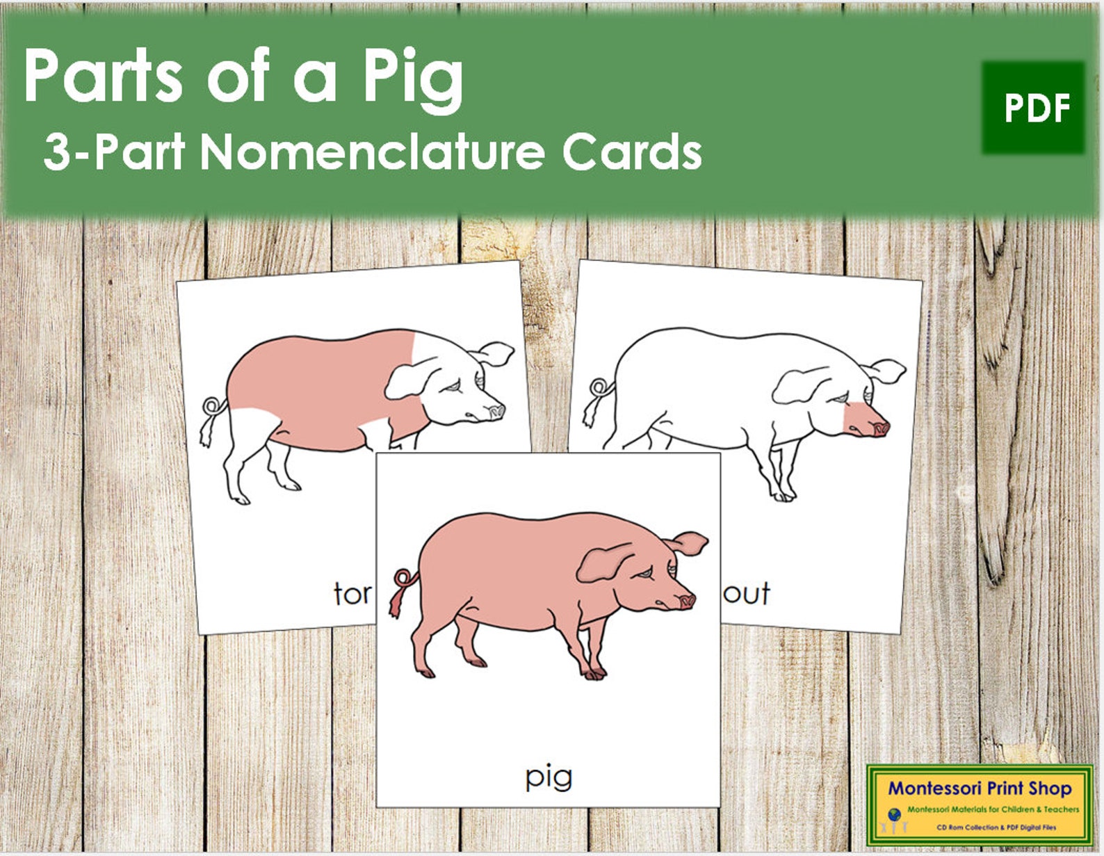 Parts of a Pig Nomenclature 3-part Cards Montessori Zoology - Etsy