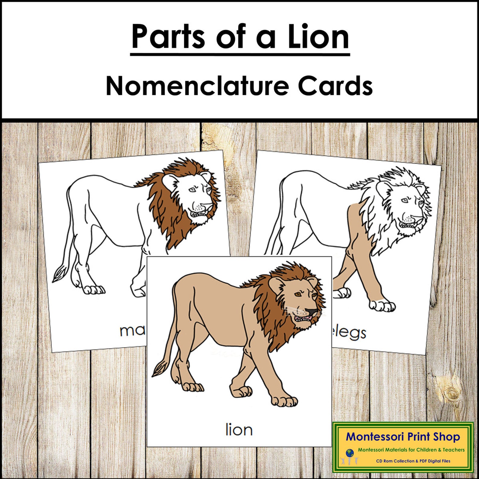 Parts of a Lion Nomenclature 3-part Cards Montessori Zoology Printable ...