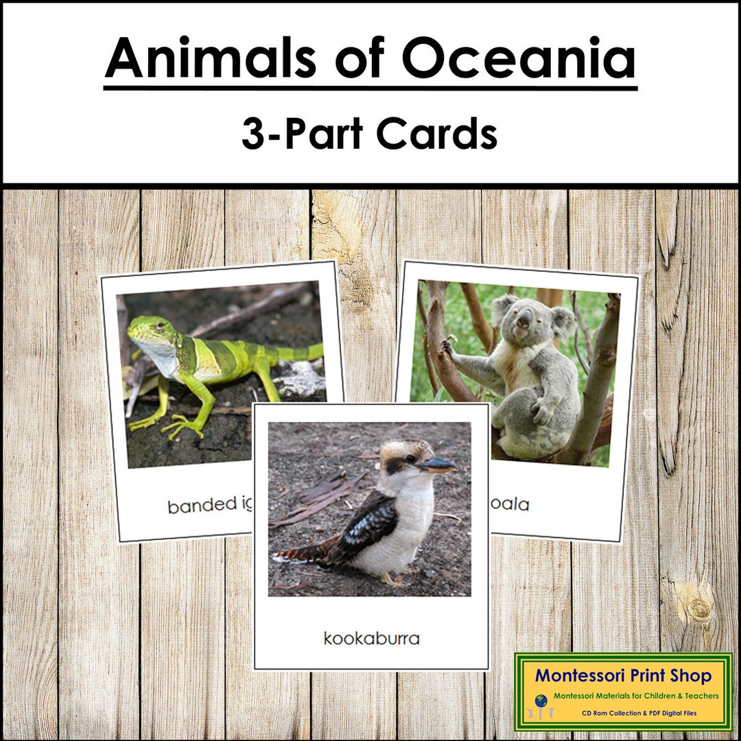 Montessori Animals of Australia/oceania 3-part Cards - Geography ...