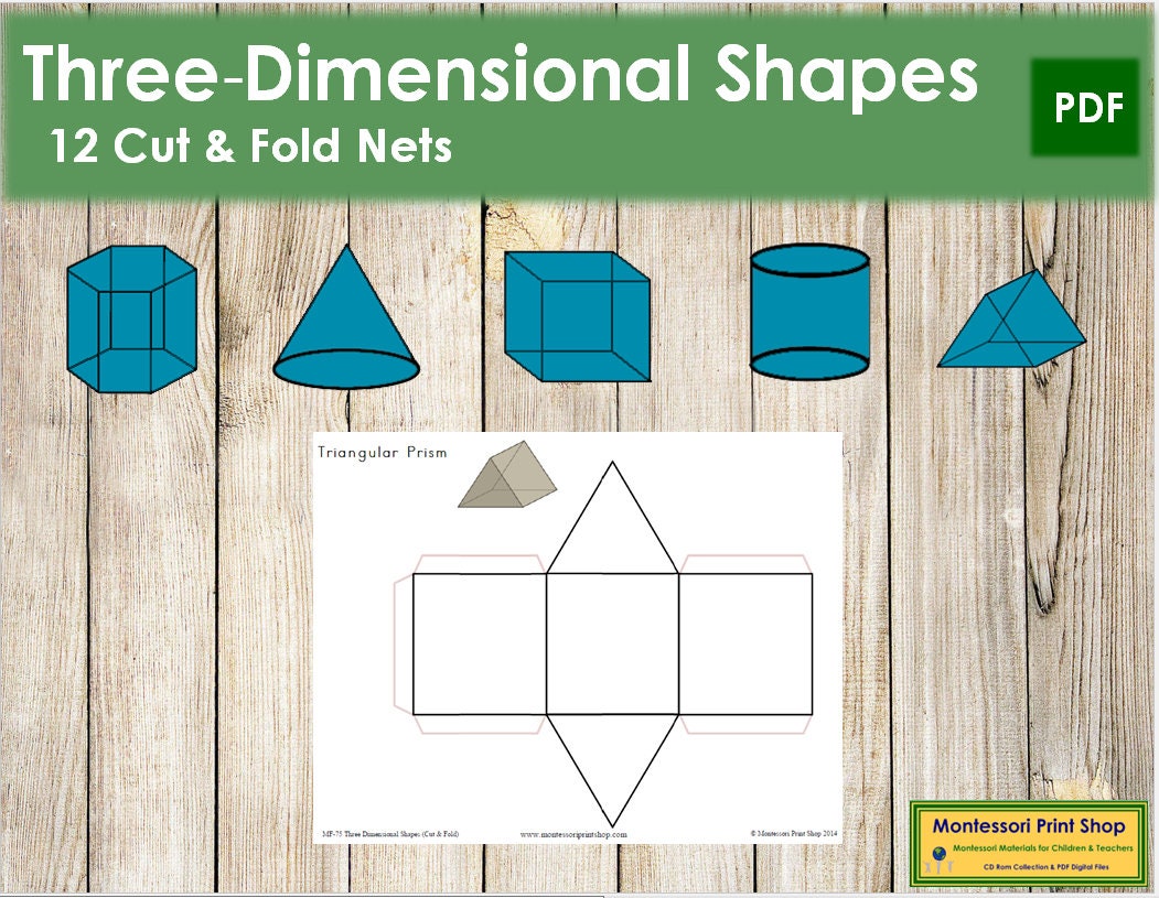 Three-dimensional Shapes Cut & Fold Nets Geometry - Etsy