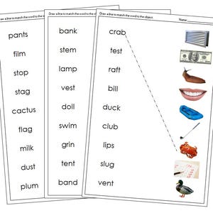 Step 2 Phonetic Language Series Bundle (PHOTOS) - Primary Language ...