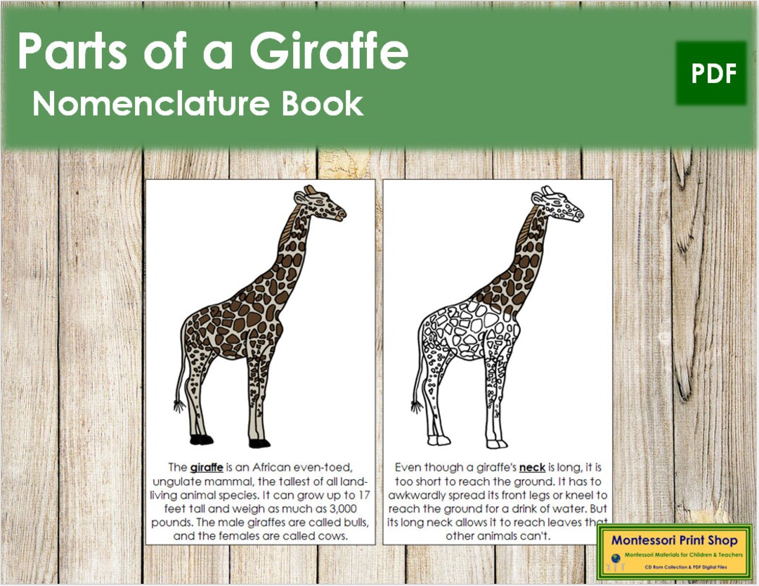 Parts of a Giraffe Nomenclature Book Montessori Zoology - Etsy