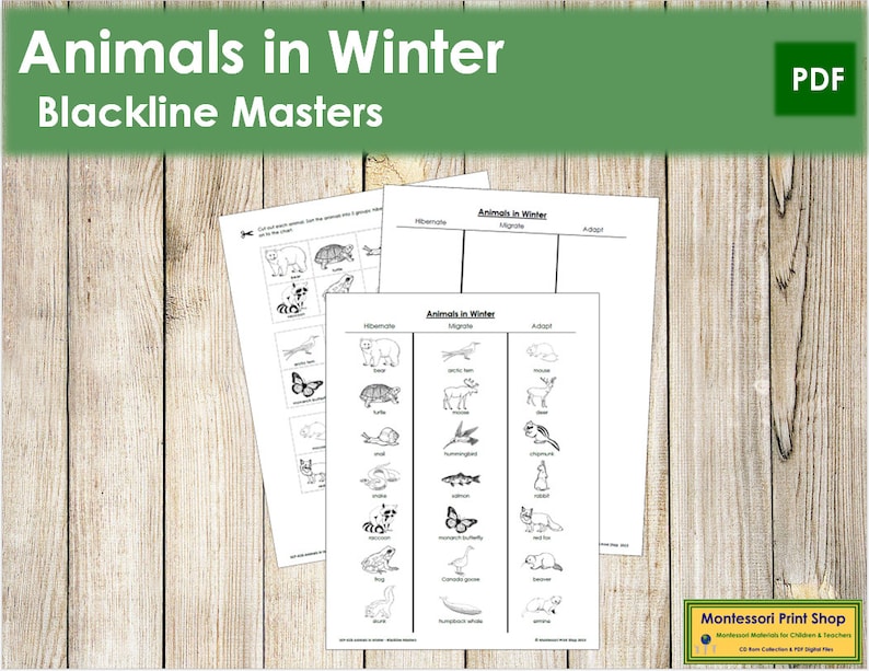 Animals in Winter Blackline Masters migrate Hibernate - Etsy