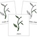 Parts of a Stem Nomenclature 3-part Cards - Montessori Botany ...
