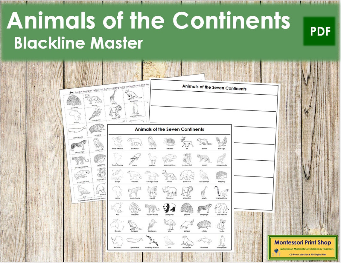 Animals of the Continents Sorting Blackline Masters Zoology - Etsy