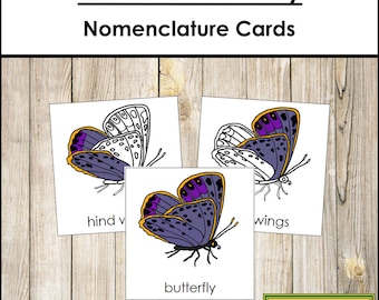Parts of a Butterfly Montessori Nomenclature Three-part - Etsy