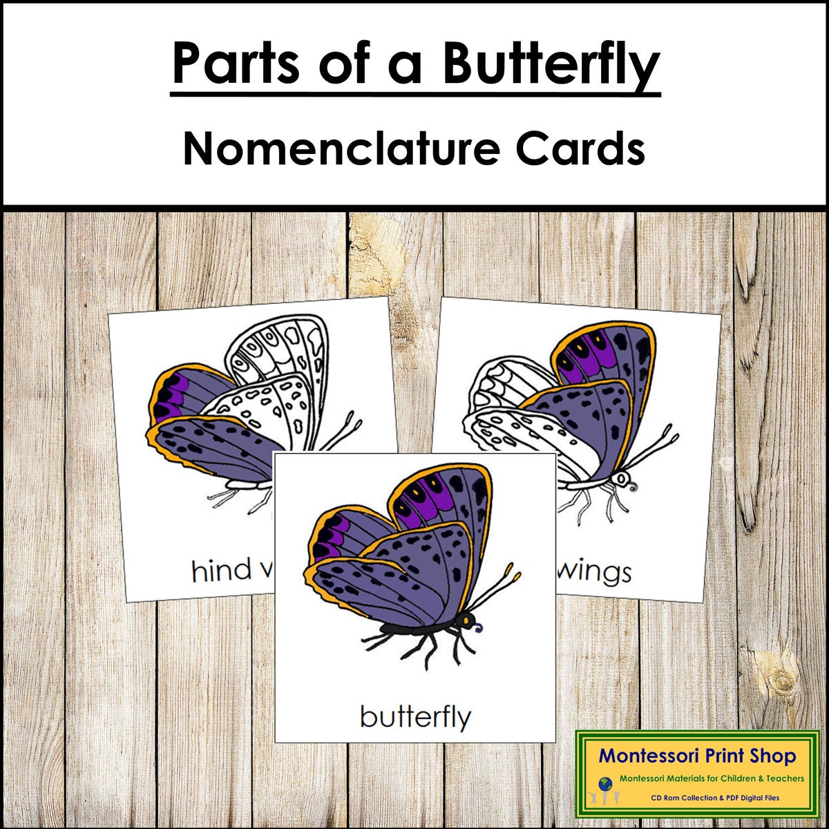 Parts of a Butterfly Nomenclature 3-part Cards Montessori Zoology ...