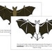 Parts of a Bat Nomenclature Book - Montessori Zoology - Printable ...