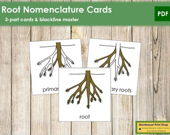 Parts of a Flower Nomenclature 3-part Cards Montessori | Etsy