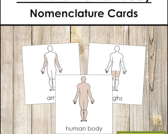 Montessori 3 Part Cards Parts of a Body - Etsy