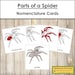 Parts of a Spider Nomenclature 3-part Cards & Blackline Master (RED ...
