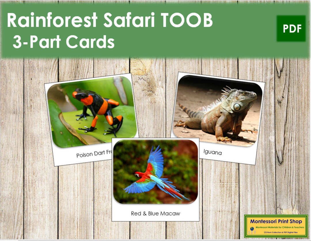 Rainforest Safari TOOB Cards Printable Montessori Cards - Etsy