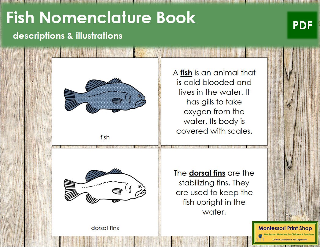 Parts of a Fish Nomenclature Book Montessori Zoology | Etsy UK