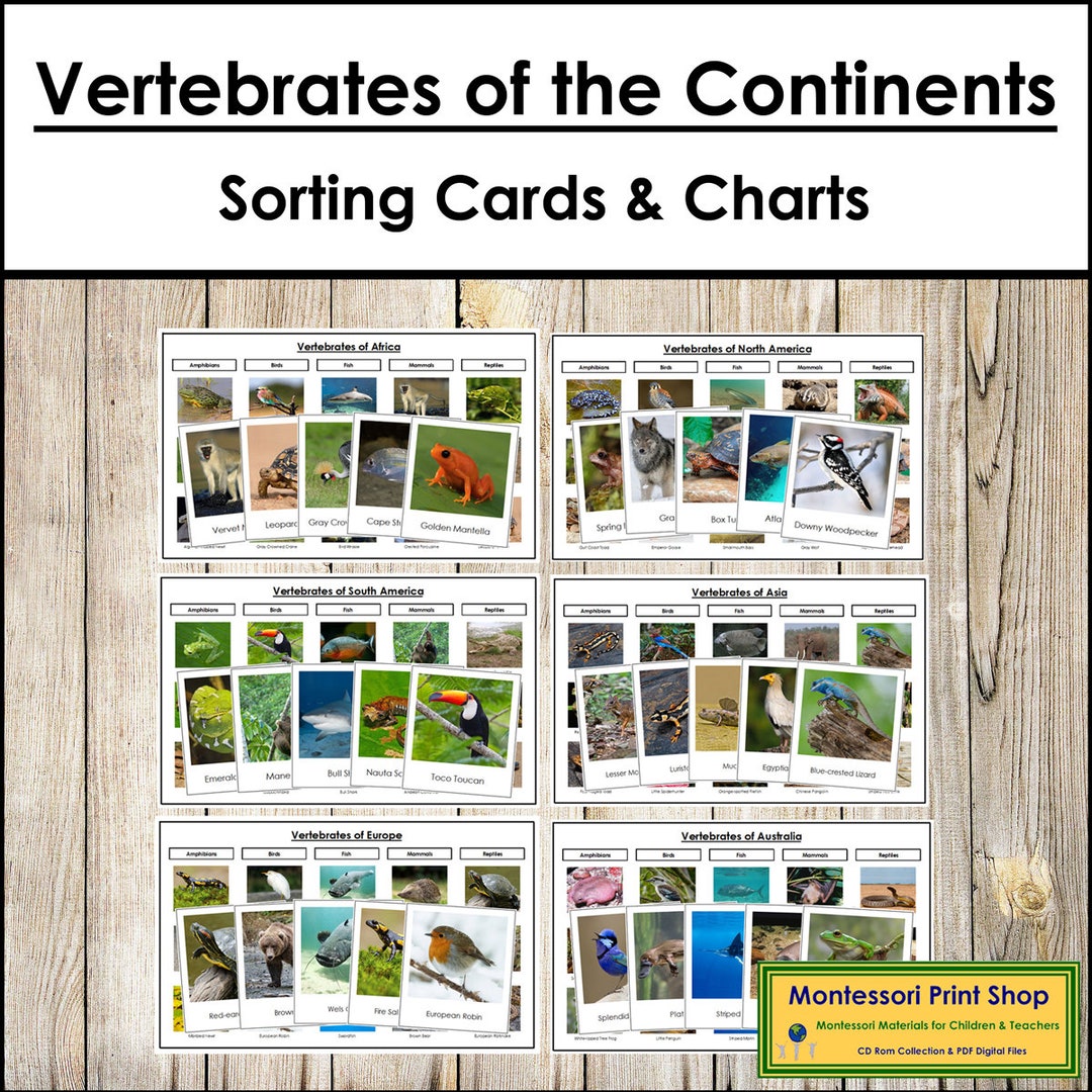 Vertebrates of the Continents Sorting - Montessori Zoology - Printable ...