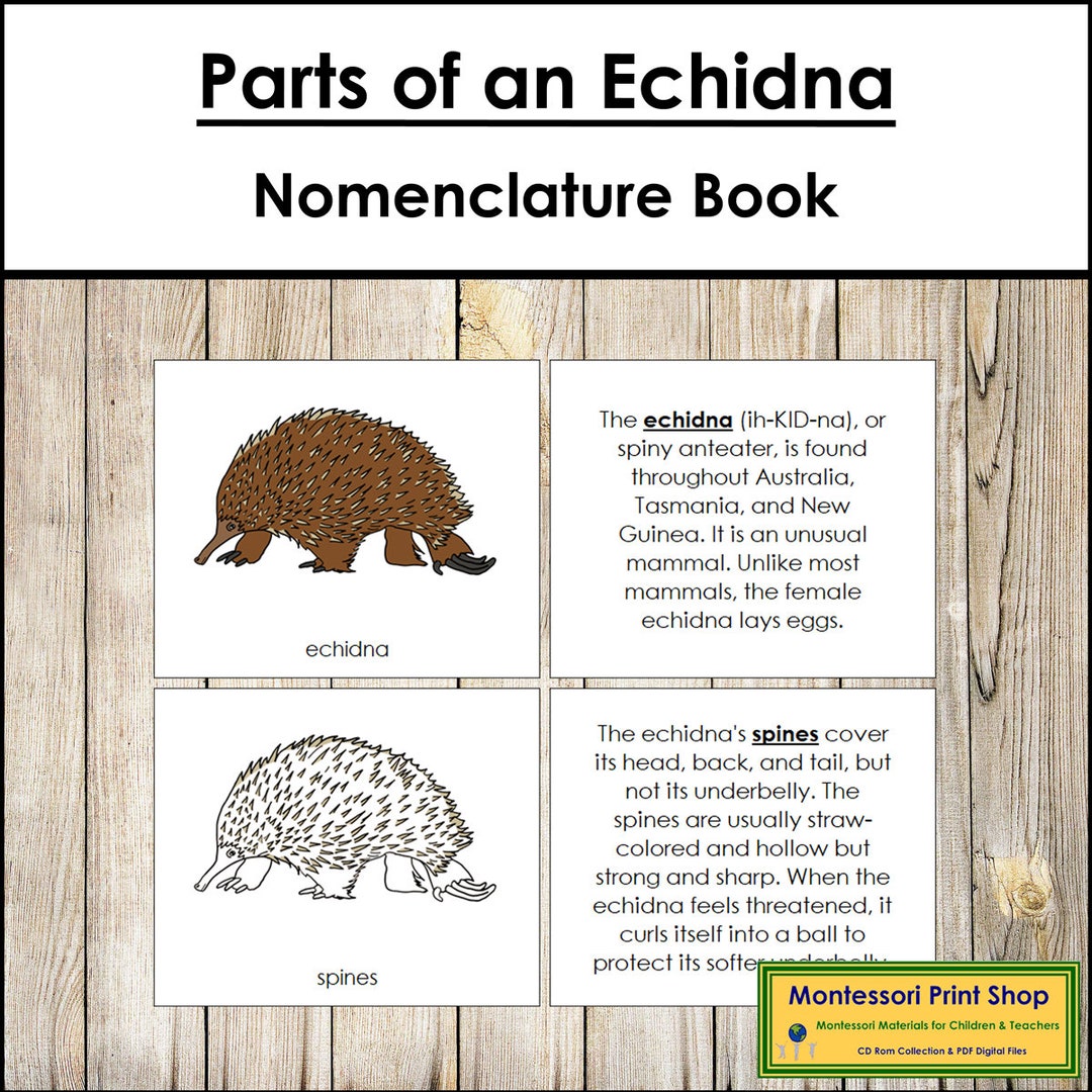Parts of an Echidna Nomenclature Book - Montessori Zoology (digital ...
